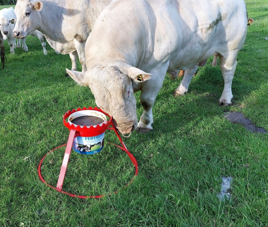 Mineral Lick Bucket Holder - Fox Bros Engineering Ltd